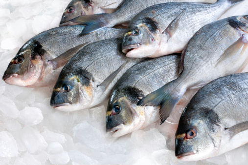 Il CREA su TV2000: tutte le proprietà benefiche del pesce - Il CREA su ...