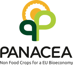 PANACEA: il progetto CREA per le colture Non-Food, meno energia da ...