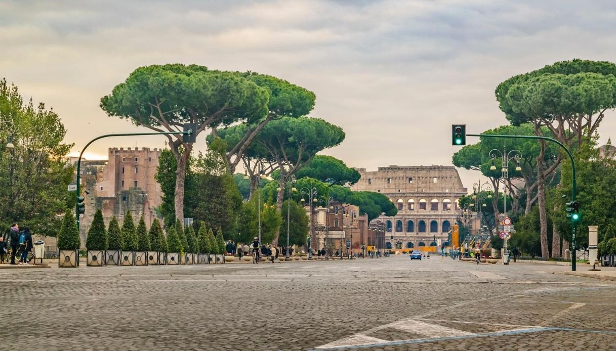 Diversificare le specie da impiantare per limitare il crollo dei pini ...