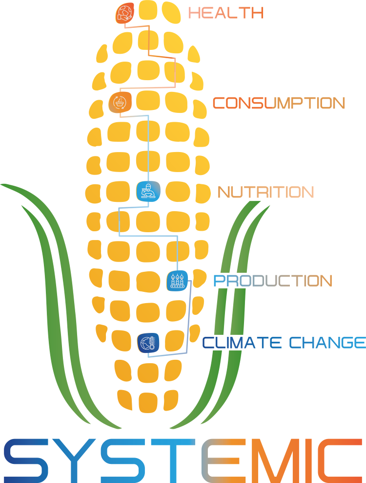 SYSTEMIC: A Knowledge Hub on Food and Nutrition Security - SYSTEMIC: A ...