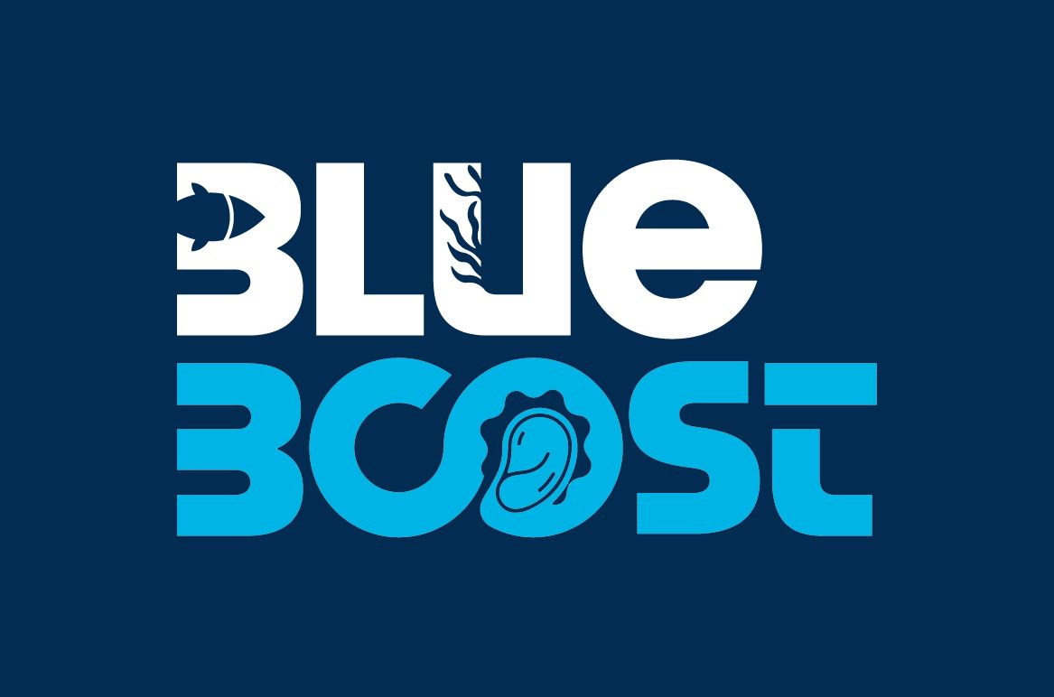 Al via le attività del progetto europeo BLUEBOOST - Al via le attività del progetto europeo ...