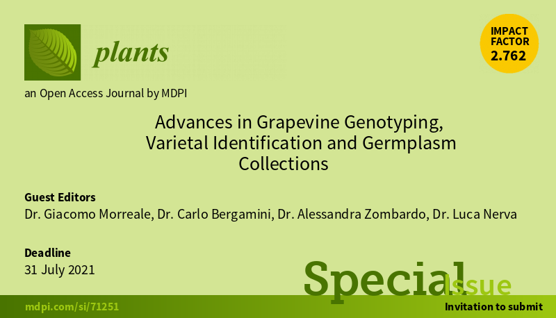 Nuovo Special issue per la rivista Plants: Advances in Grapevine ...