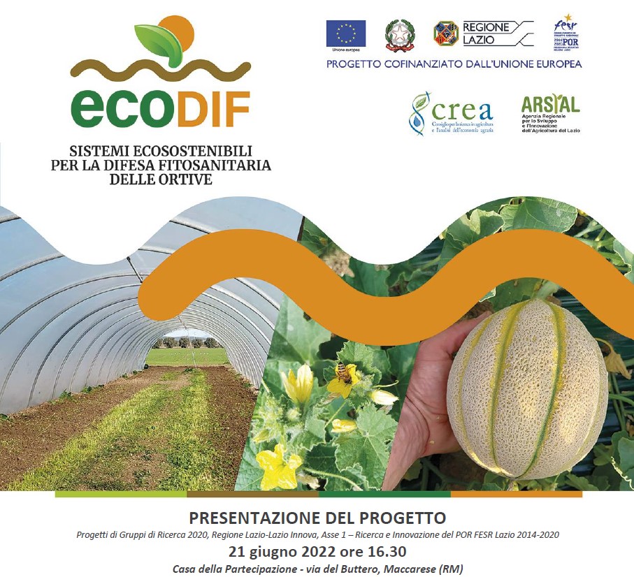 Presentazione progetto ECODIF- Sistemi ecosostenibili per la difesa fitosanitaria delle ortive ...