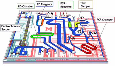Seminario CREA "Lab-on-Chip systems for diverse analytical applications ...