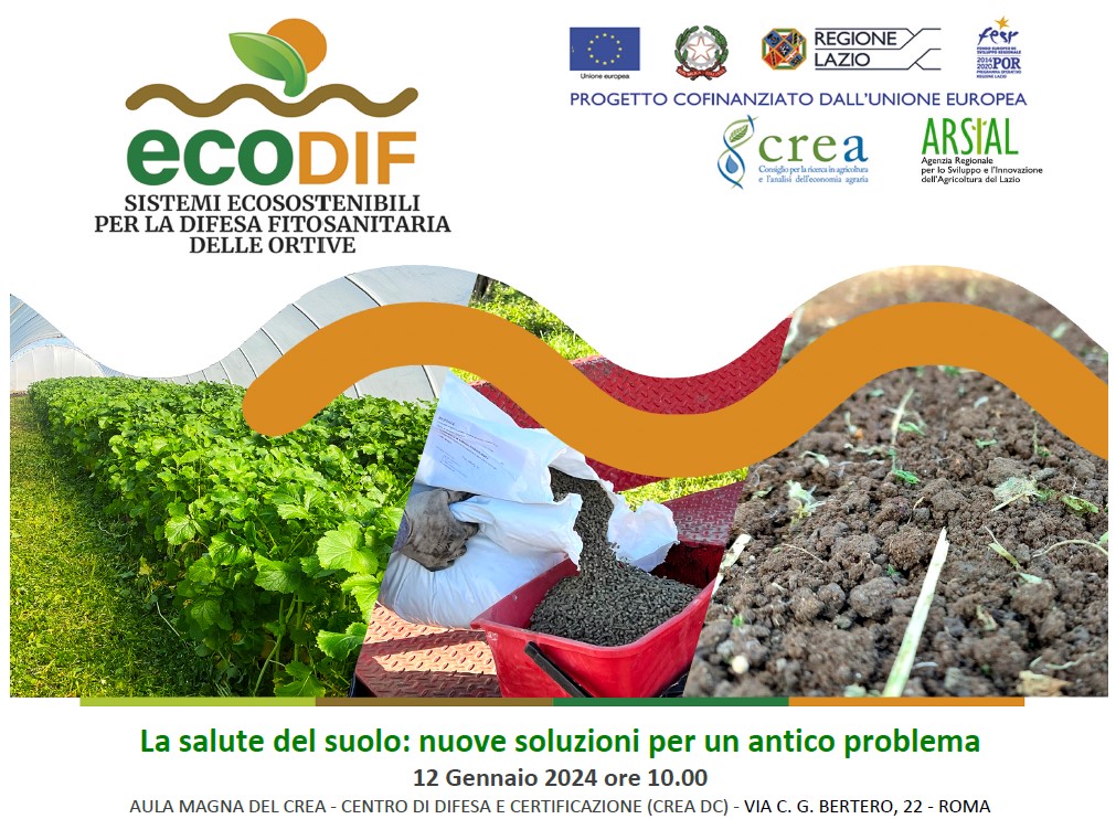Giornata conclusiva Progetto EcoDif - Giornata conclusiva Progetto EcoDif - Difesa e ...
