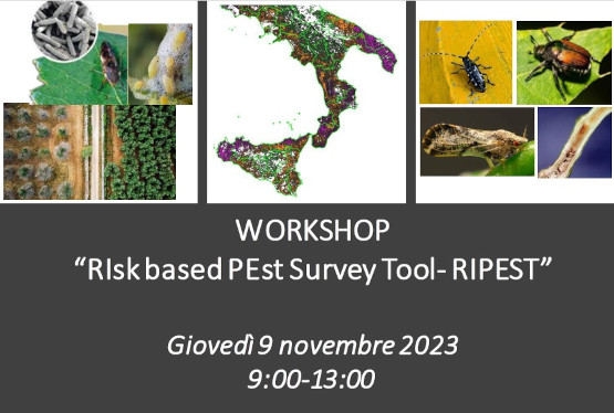 Workshop “ RIsk-based on PEst Survey Tool - RIPEST ” - Workshop “ RIsk ...