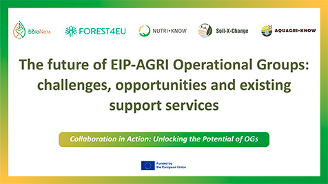 The Future of EIP-AGRI Operational Groups: Challenges, Opportunities and Existing Support ...