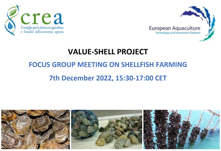 VALUE-SHELL PROJECT FOCUS GROUP MEETING ON SHELLFISH FARMING - VALUE ...