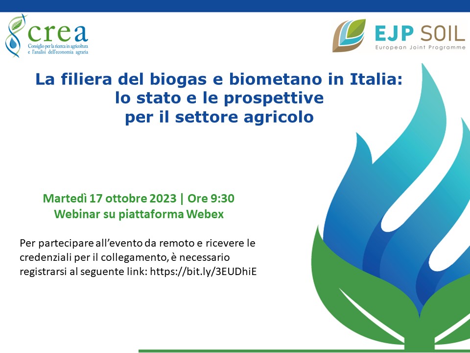 La filiera del biogas e biometano in Italia: lo stato e le prospettive ...