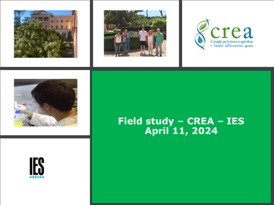 Field study of American University students of IES Abroad Rome at CREA ...