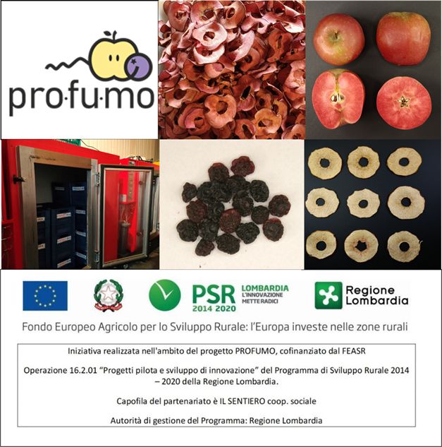 Il progetto PRO.F.U.MO.: Prodotti innovativi per le filiere frutticole ...