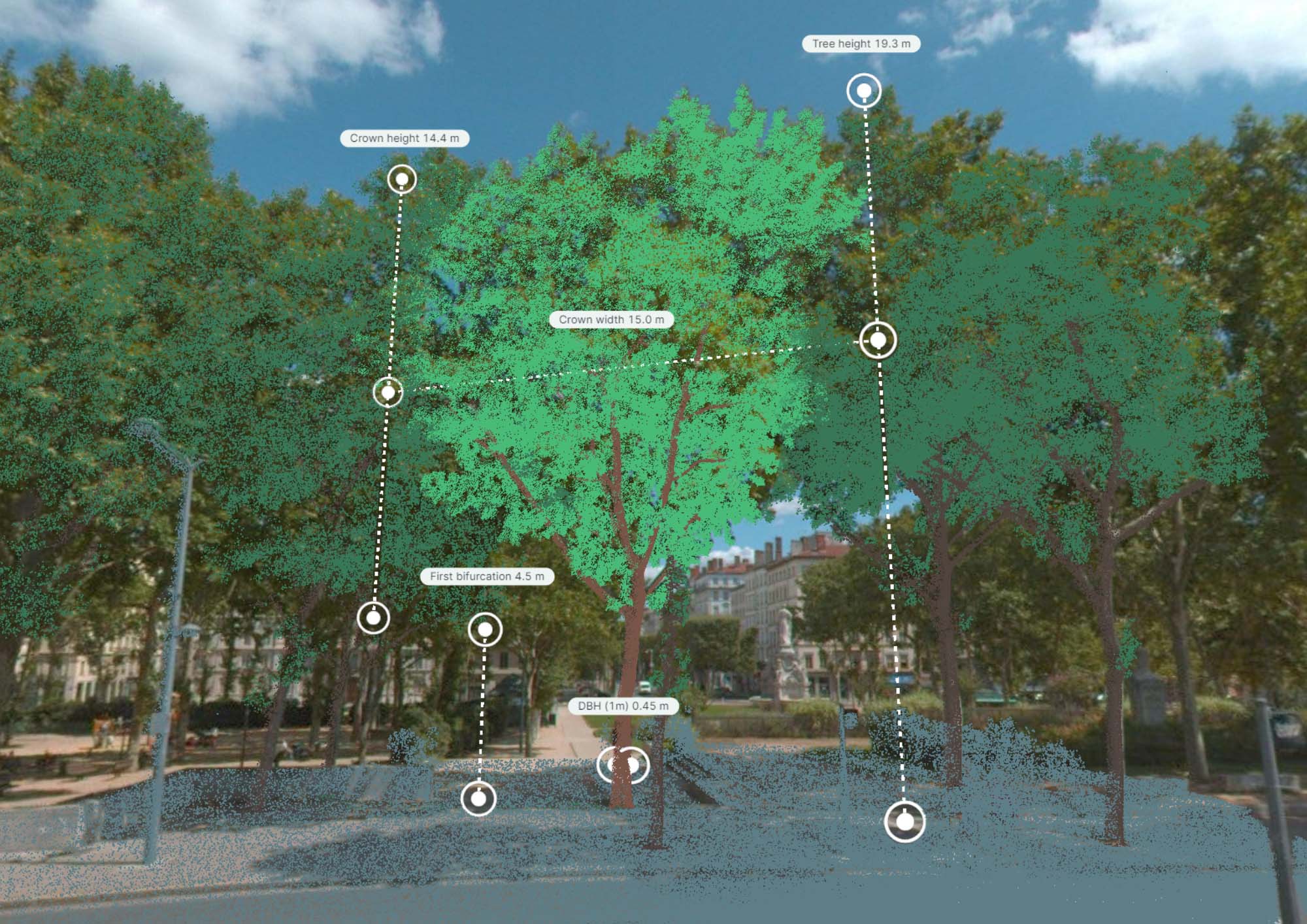 I gemelli digitali nella gestione del verde urbano - I gemelli digitali ...