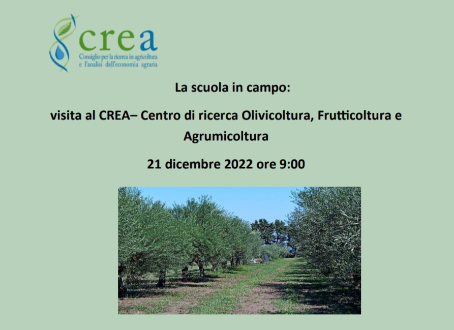 La scuola in campo al CREA di Rende - La scuola in campo al CREA di ...